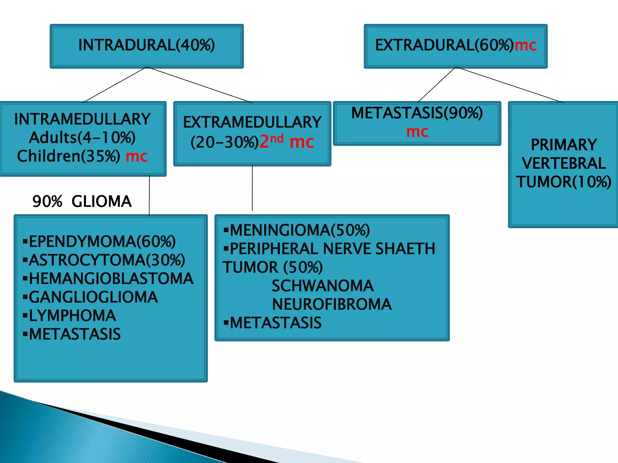SPINAL TUMOR.pptx