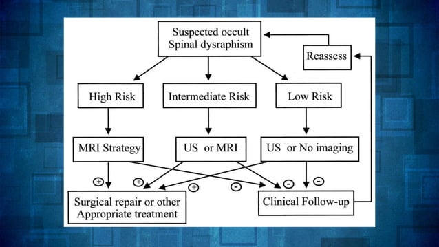 ULTRASOUND EXAMINATION OF INFANT SPINE - STEP BY STEP | PPT