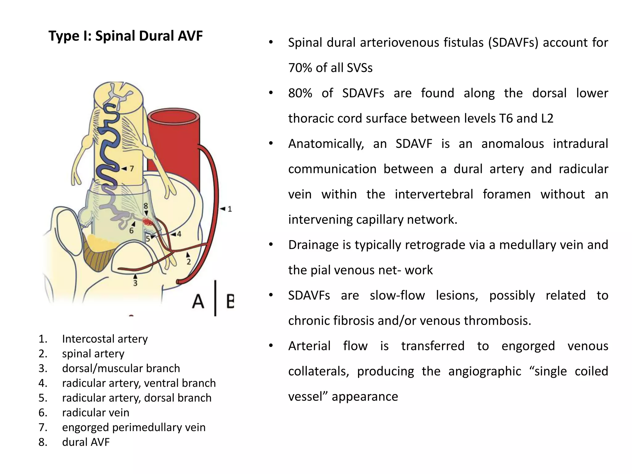 Spinal Vascular Shunts.pptx