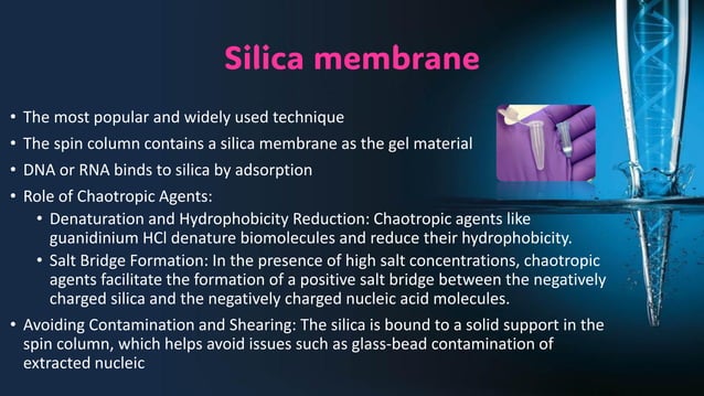Spin column extraction method molecular biology course.pdf | Chemistry ...
