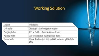 Spin column extraction method molecular biology course.pdf