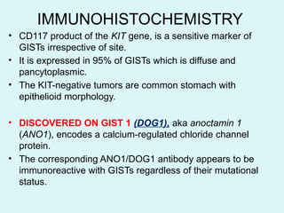 SPINDLE CELL LESIONS OF GIT .pptx