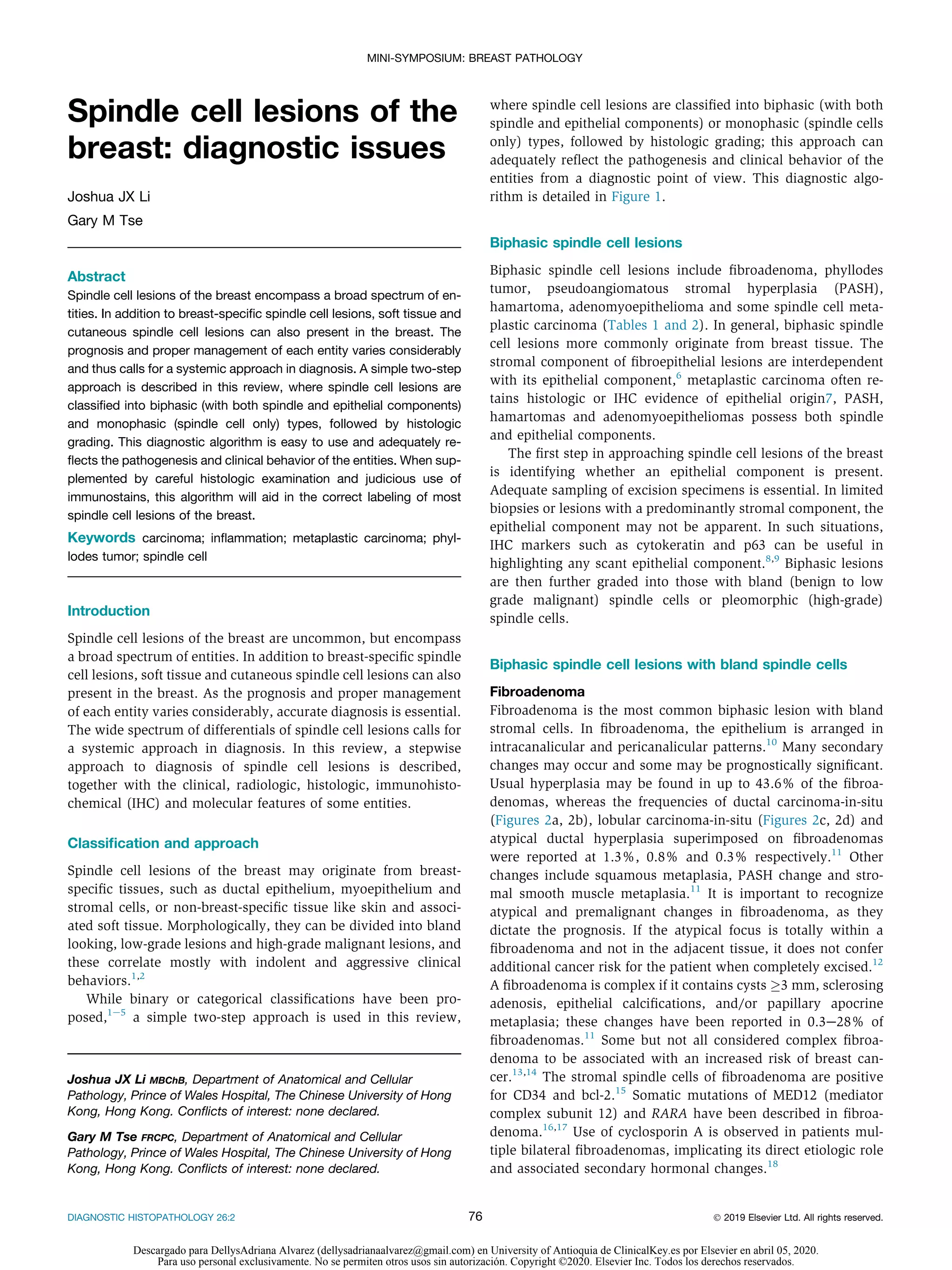 Spindle cell lesions of the breast diagnostic issues 2019 (1) | PDF