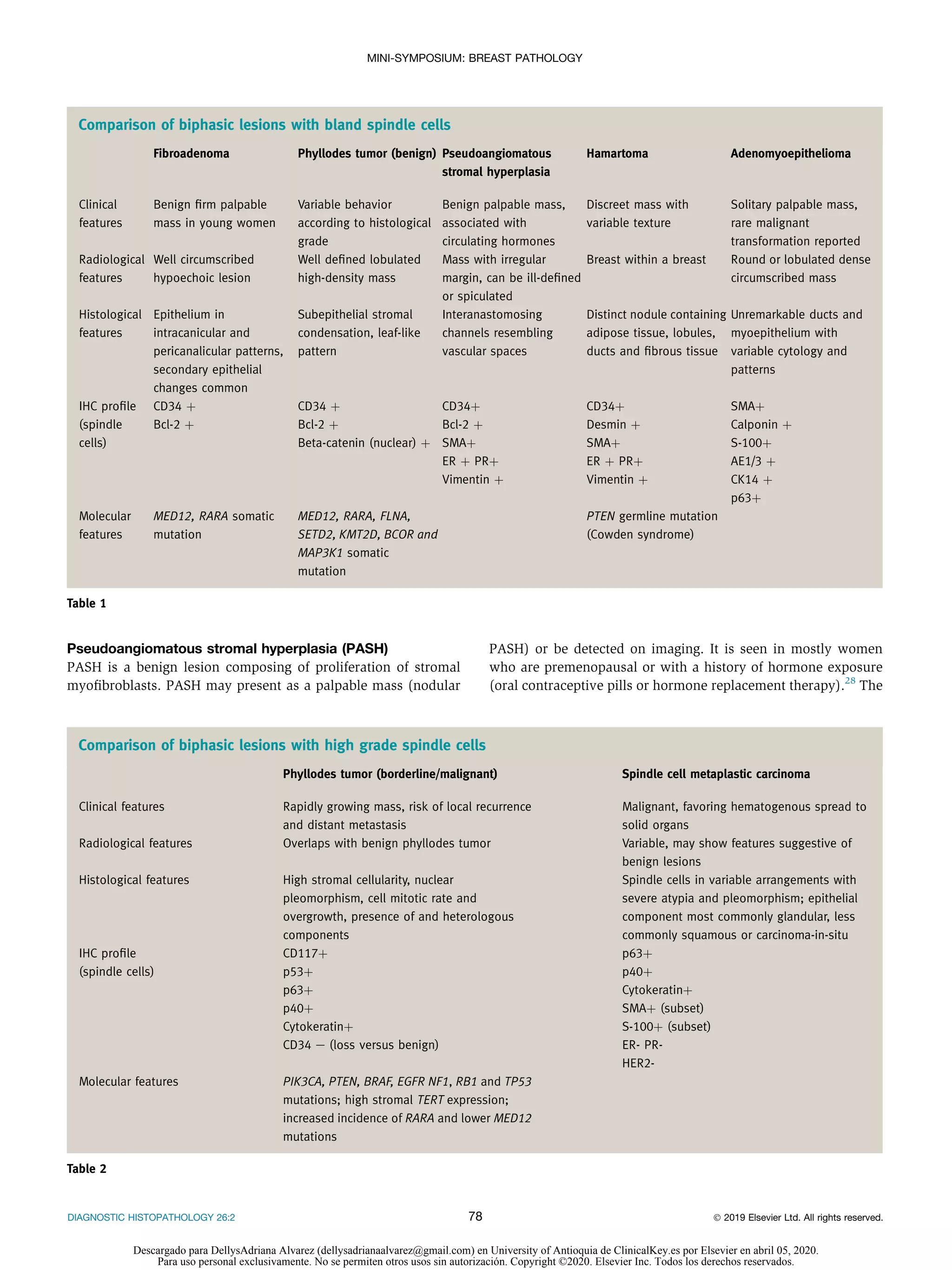 Spindle cell lesions of the breast diagnostic issues 2019 (1) | PDF