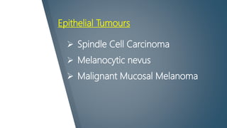Spindle cell lesions of head & neck | PPTX