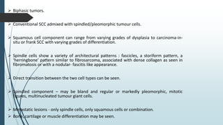 Spindle cell lesions of head & neck | PPTX