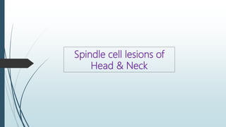 Spindle cell lesions of head & neck | PPTX