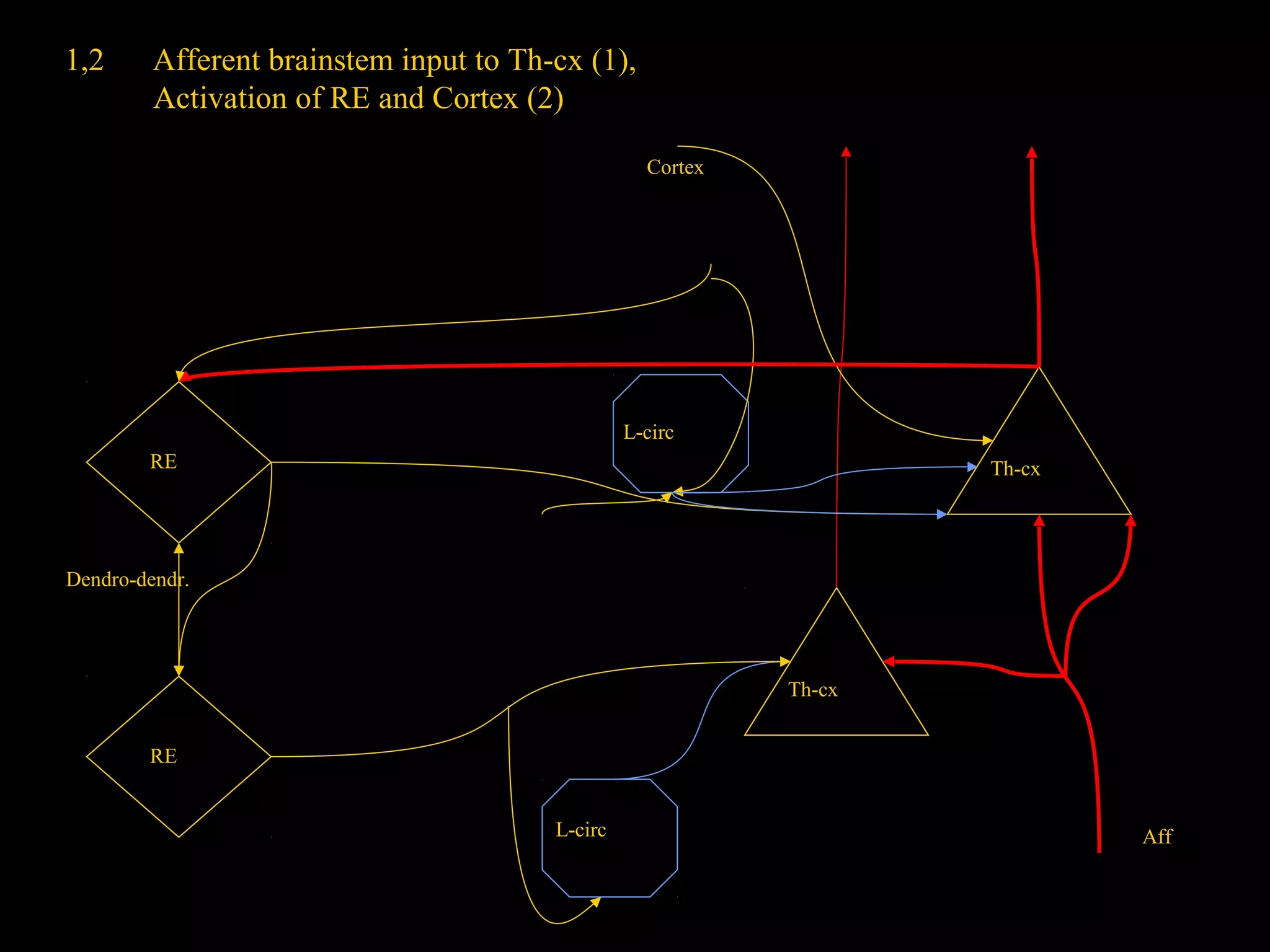 Spindles and transients - Sleep Phenomena, Mechanisms and Substrates | PPT