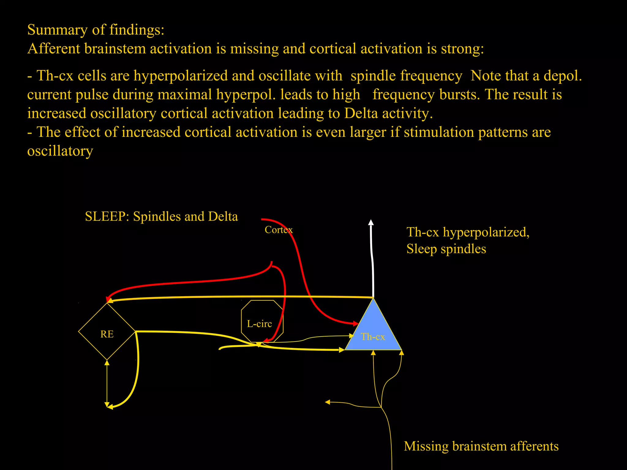 Spindles and transients - Sleep Phenomena, Mechanisms and Substrates | PPT