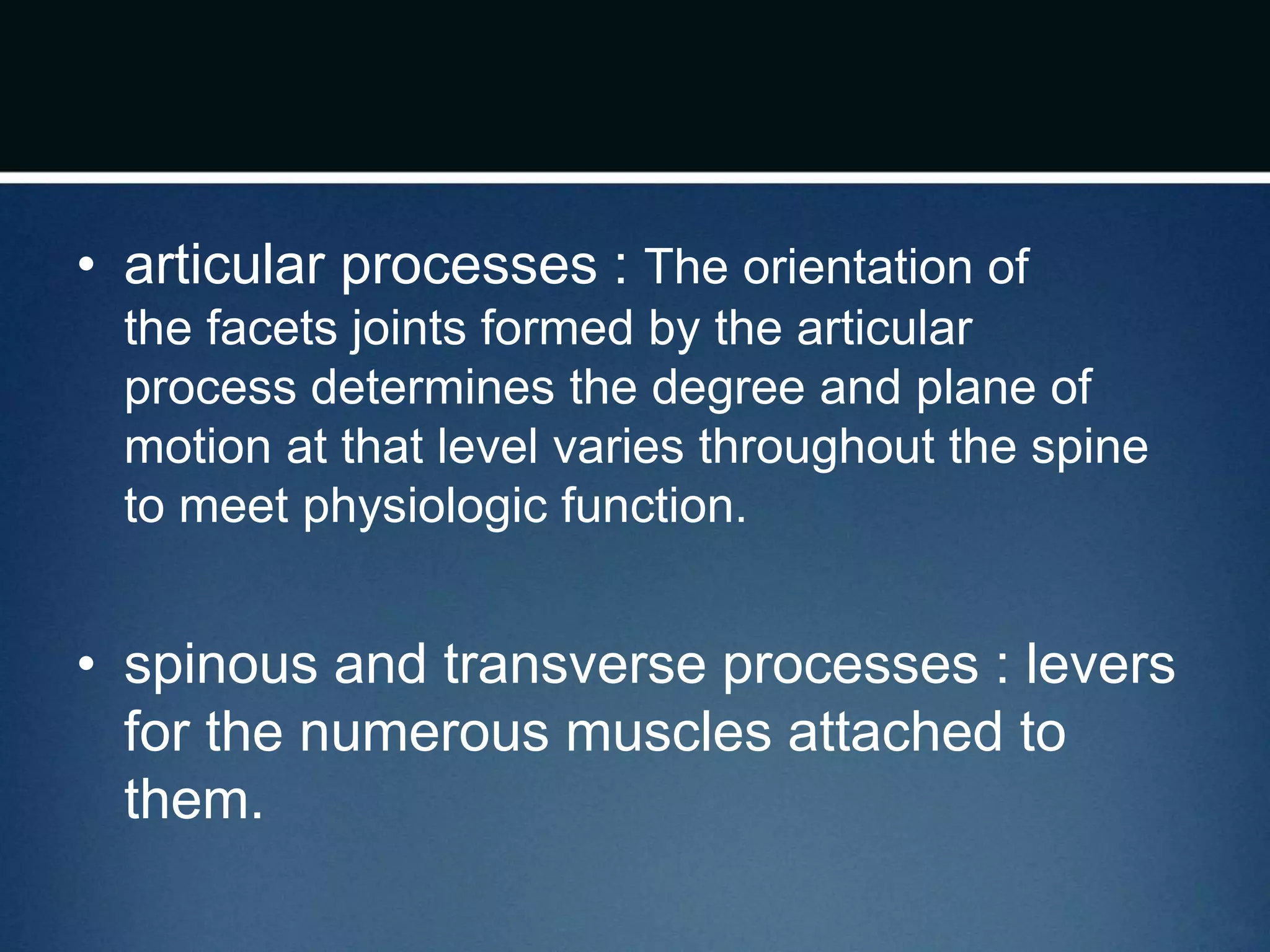 clinical Spine anatomy | PPTX
