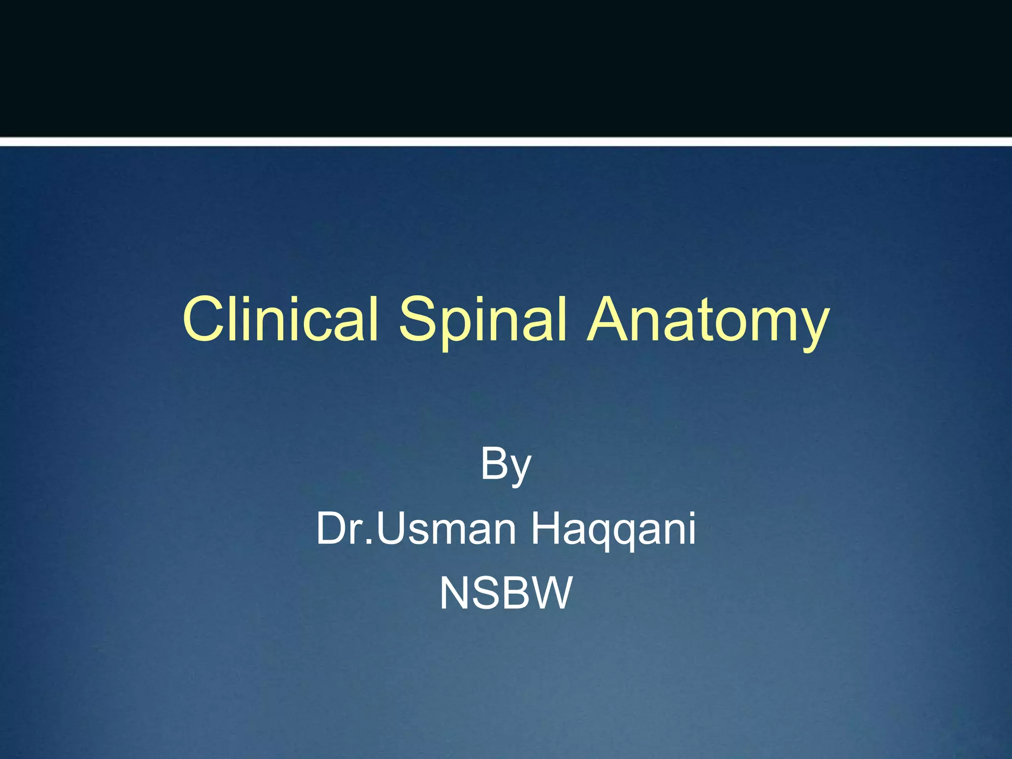 clinical Spine anatomy | PPT