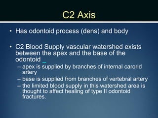 clinical Spine anatomy | PPTX