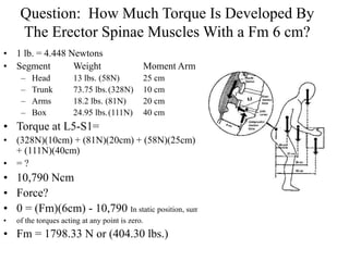 Spine.ppt