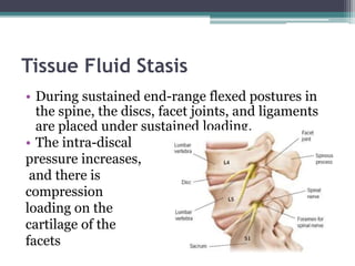 Spine.pptx and its functions with complete assesment | PPT