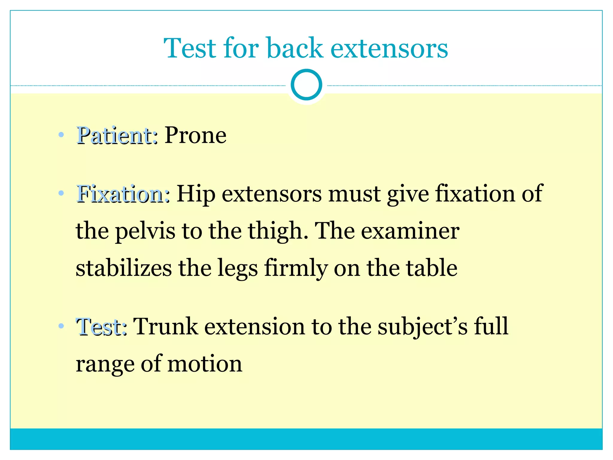 Spine And Thorax 1 | PPT