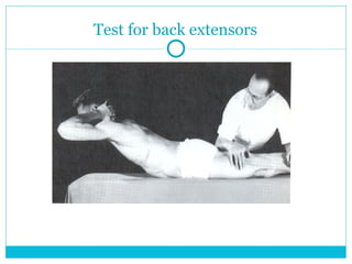 Spine And Thorax 1 | PPT