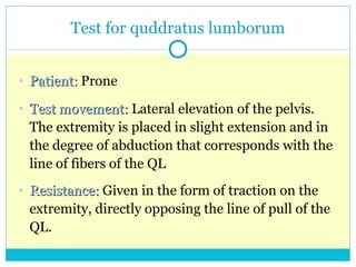 Spine And Thorax 2 | PPT