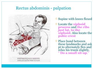 Spine And Thorax 2 | PPT