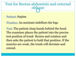 Spine And Thorax 2 | PPT