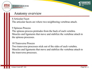 spine#-converted.pdfnjohioooiyu8ooiuu8877 | PDF