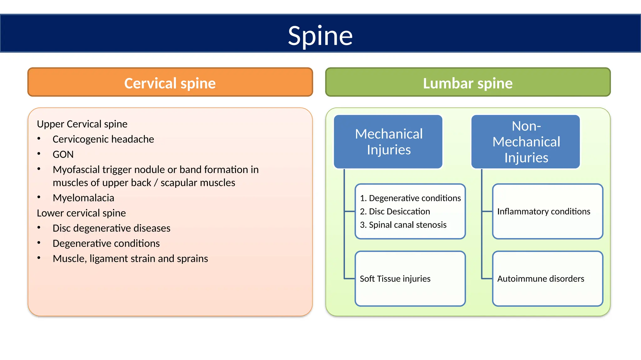 Spine cord information for conference presentation | PPT