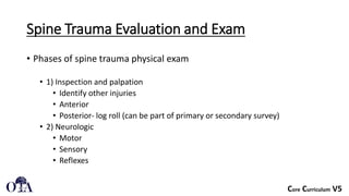 Spine 1 Physical Exam of the spine orthopaedy | PPT