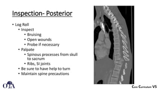 Spine 1 Physical Exam of the spine orthopaedy | PPT | Free Download