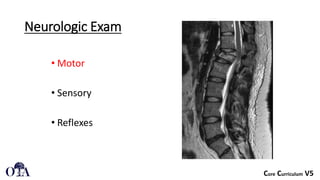 Spine 1 Physical Exam of the spine orthopaedy | PDF