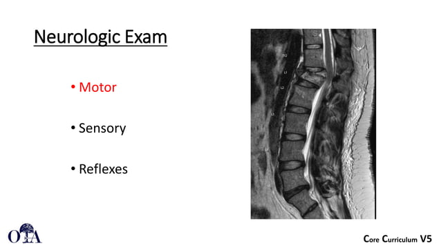 Spine 1 Physical Exam of the spine orthopaedy | PPT
