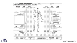 Spine 1 Physical Exam of the spine orthopaedy | PPT