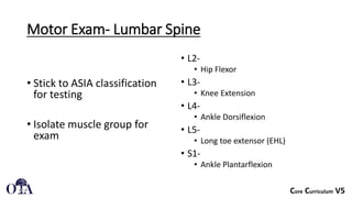 Spine 1 Physical Exam of the spine orthopaedy | PPT