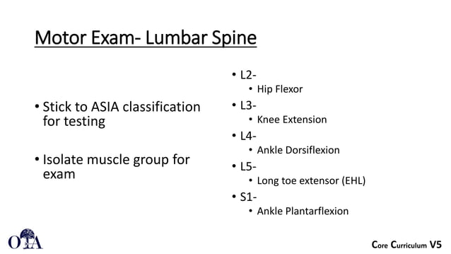 Spine 1 Physical Exam of the spine orthopaedy | PPT
