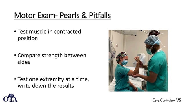 Spine 1 Physical Exam of the spine orthopaedy | PPT