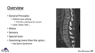 Spine 1 Physical Exam of the spine orthopaedy | PPT | Free Download