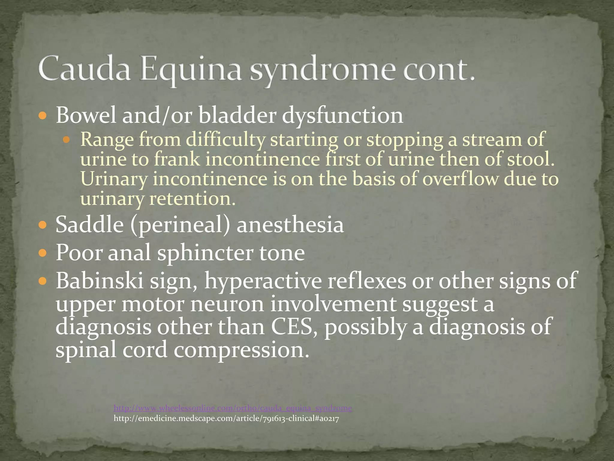 Cauda Equina | PPTX