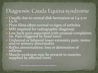 Cauda Equina | PPT