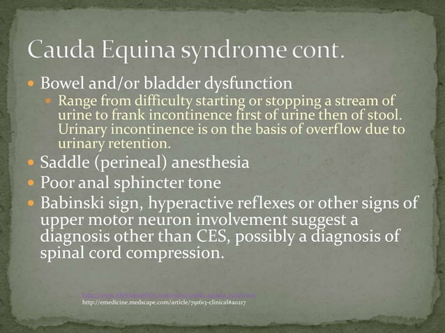 Cauda Equina | PPT