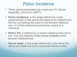 Evaluation of Spinal alignment | PPTX