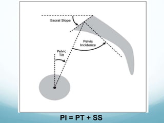 Evaluation of Spinal alignment | PPTX