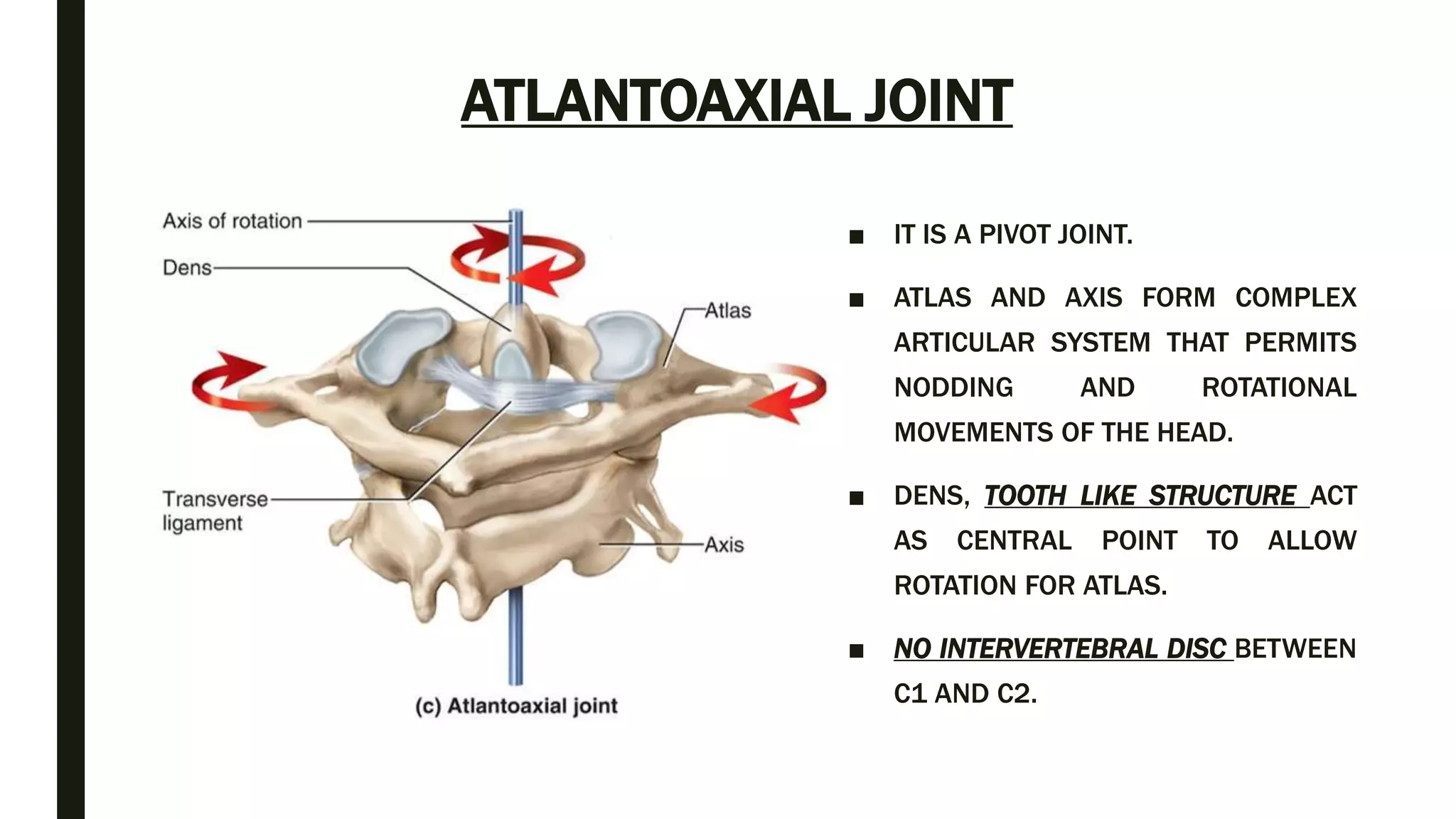 Spine anatomy and xray of spine ppt by Dr Pratik | PPTX