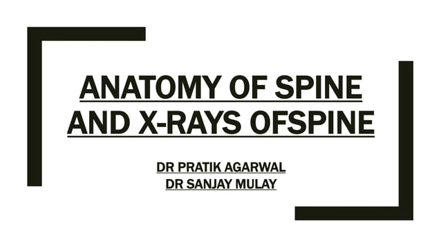 Spine anatomy and xray of spine ppt by Dr Pratik | PPTX | Death, Injury, or Military Conflict ...