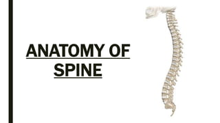 Spine anatomy and xray of spine ppt by Dr Pratik | PPTX