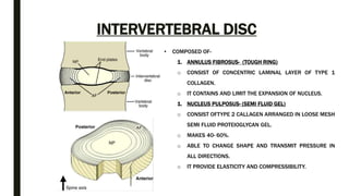 Spine anatomy and xray of spine ppt by Dr Pratik | PPTX