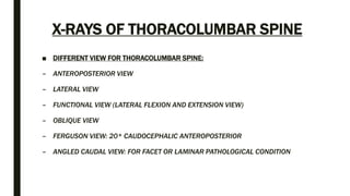 Spine anatomy and xray of spine ppt by Dr Pratik | PPTX