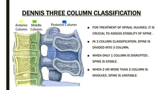 Spine anatomy and xray of spine ppt by Dr Pratik | PPTX
