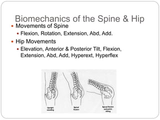 BIOMECHANICS of Spine and hip | PPT