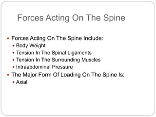 BIOMECHANICS of Spine and hip | PPT