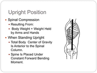 BIOMECHANICS of Spine and hip | PPT