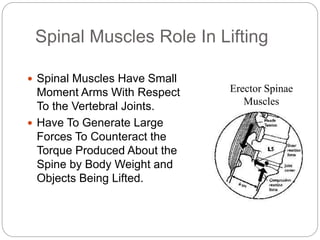 BIOMECHANICS of Spine and hip | PPT