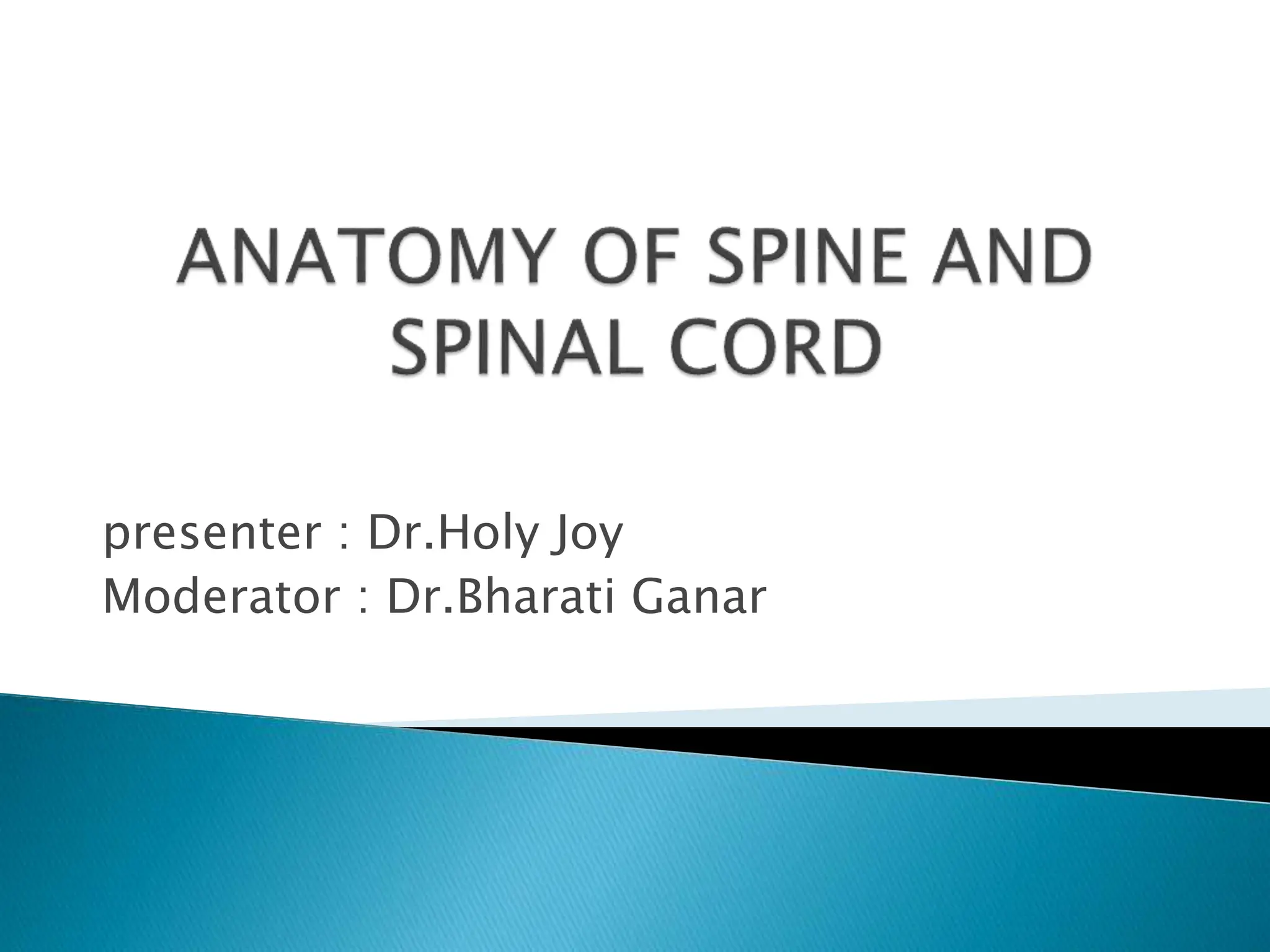 ANATOMY OF SPINE AND SPINAL CORD ppt | PPT